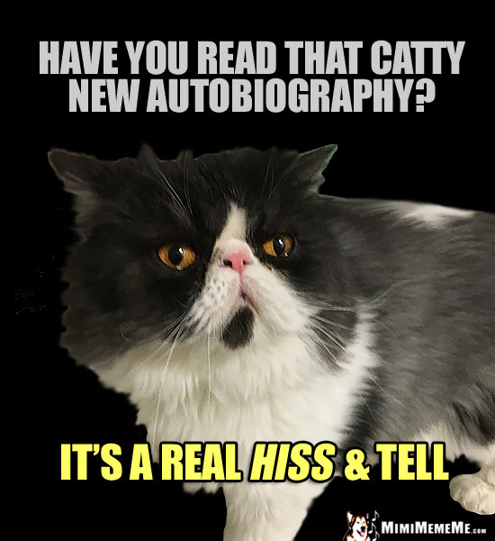 Clever Cat Jokes Smart Kitty Riddles Funny Cat Memes Literate Feline Clever Cat Jokes Smart Kitty Riddles Funny Cat Memes Literate Feline